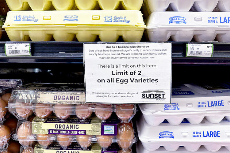 Egg prices continue to soar to record highs | News, Sports, Jobs ...
